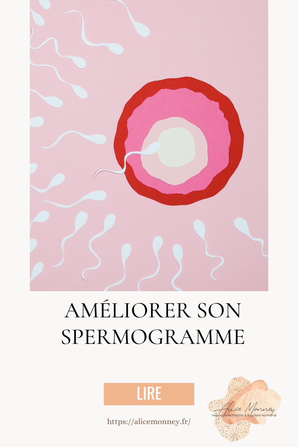 Améliorer un spermogramme | Alice Monney