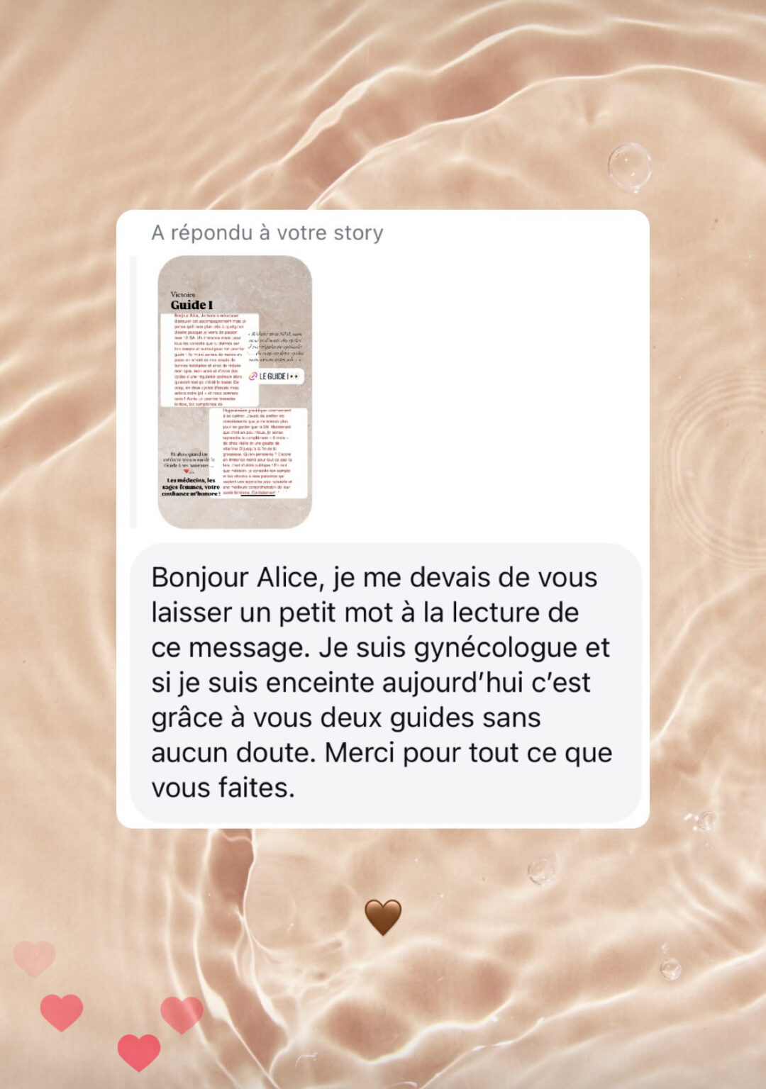 GUIDE II : Nidation réussie | Alice Monney